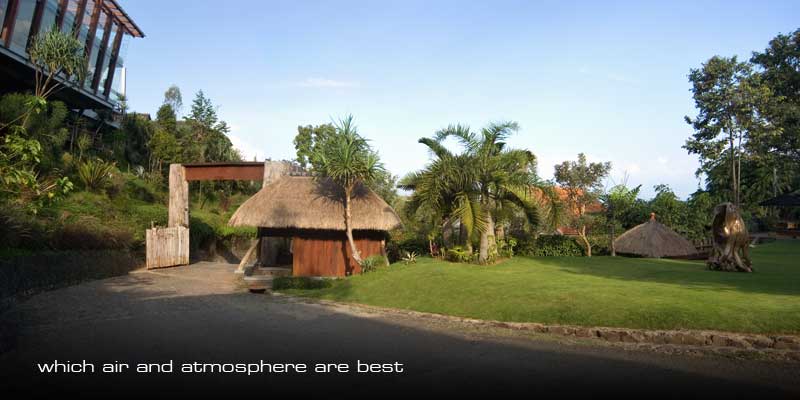 Congo Gallery - Gallery