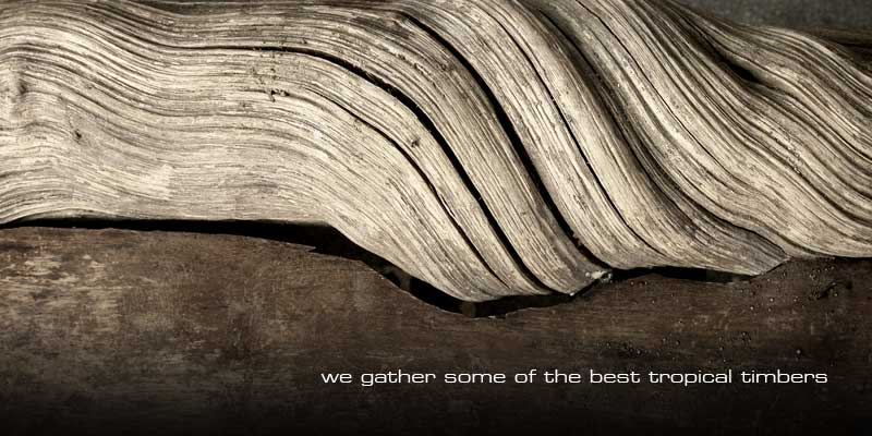 Congo Gallery - Gallery