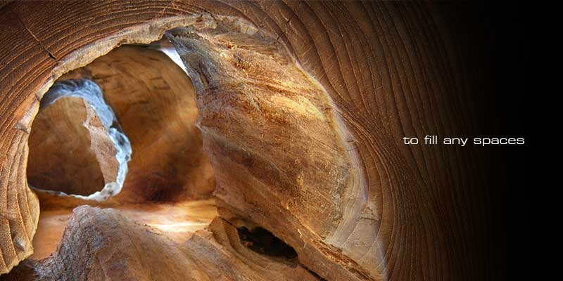 Congo Gallery - Gallery